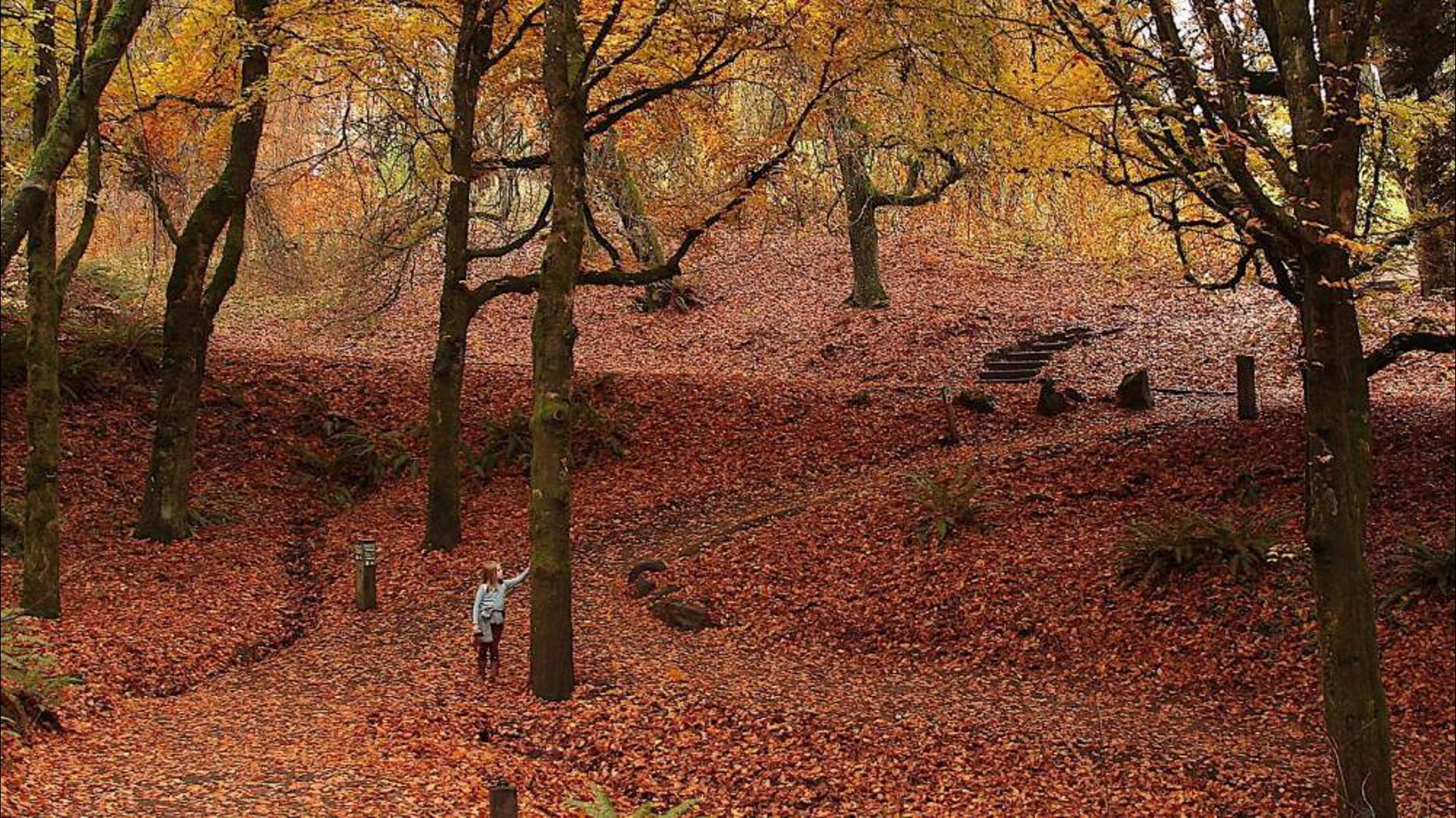 When does fall start in 2025? | wtol.com