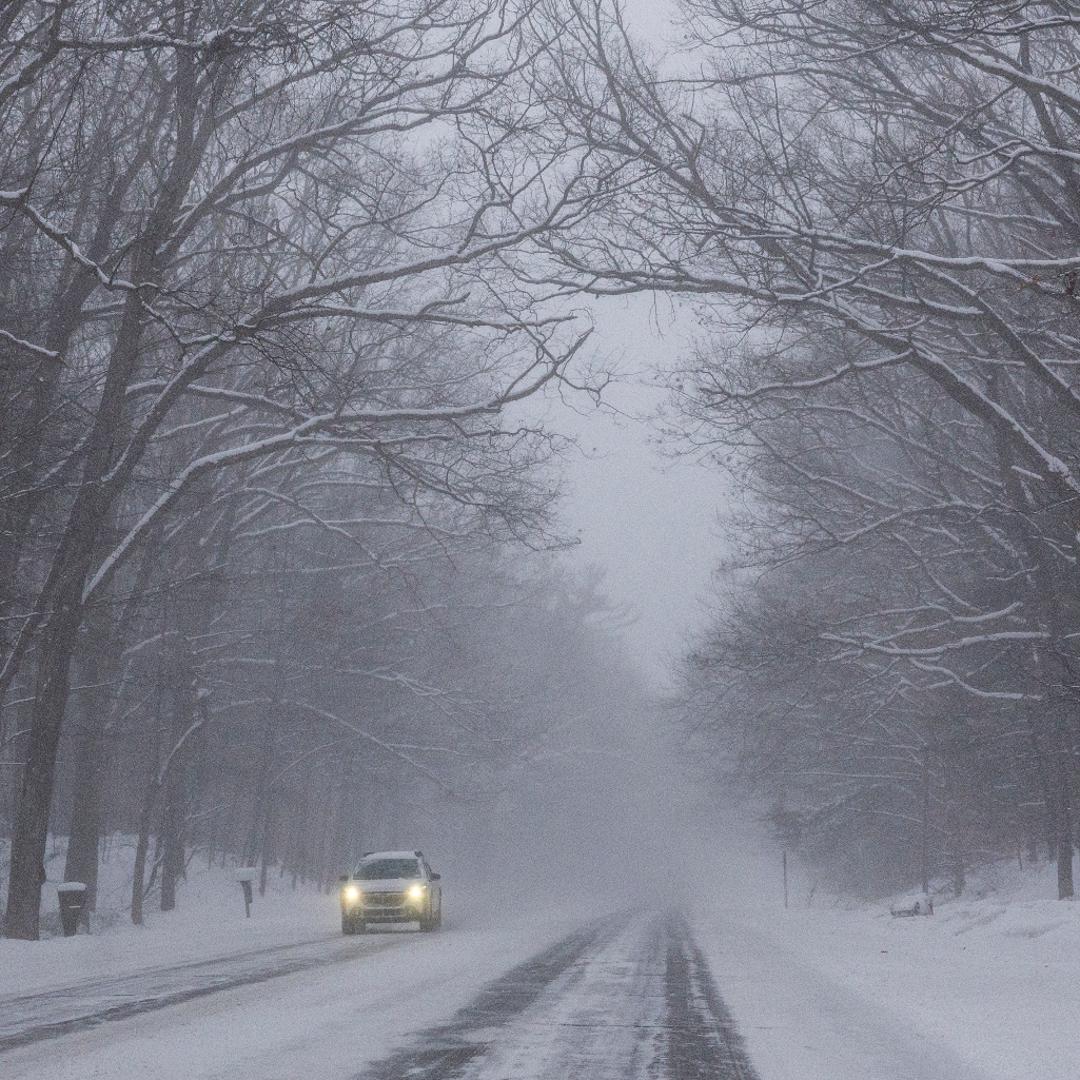 Can trees 'explode' during winter weather? | wtol.com