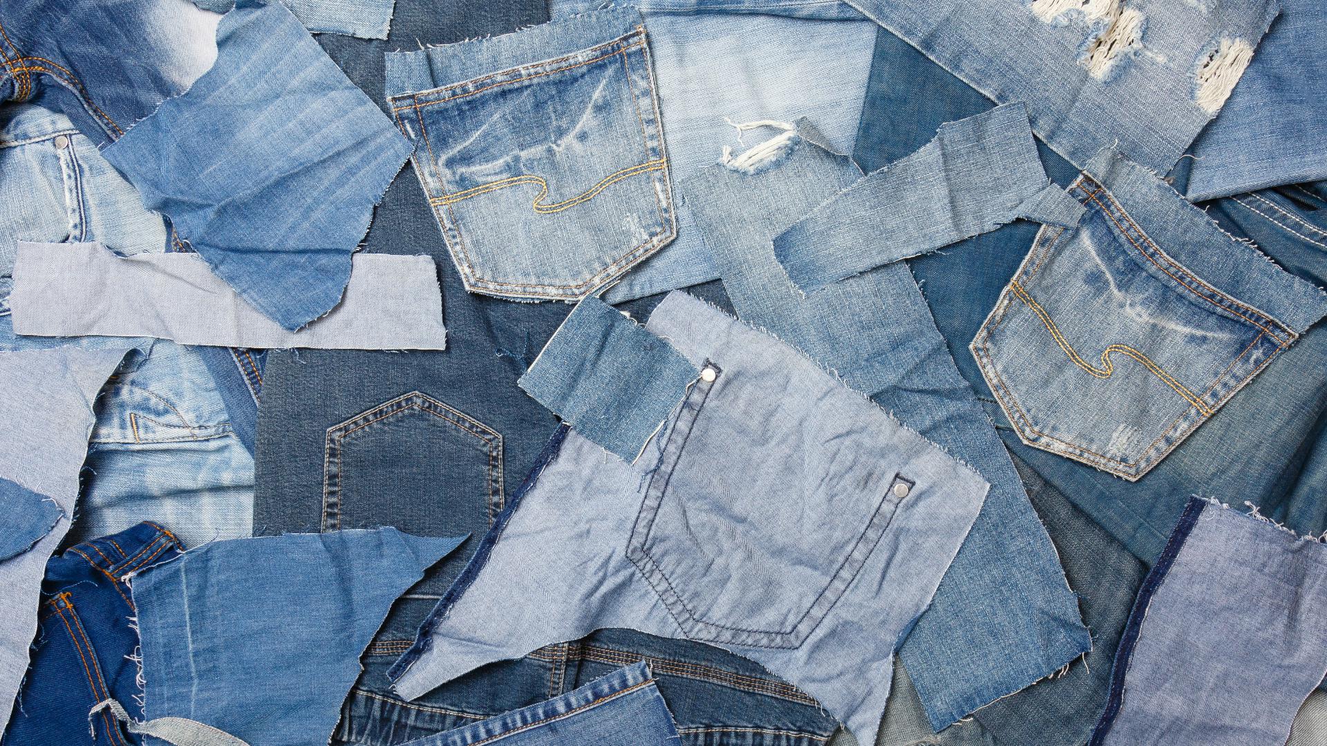 Denim Day 2024: What is it and why is it important? | wtol.com