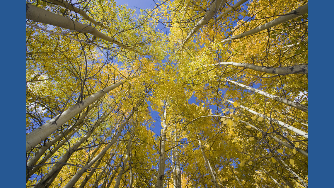 Why do fall skies appear bluer? | wtol.com
