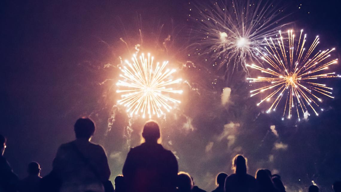 Fireworks and pets: How to keep animals calm and safe | wtol.com