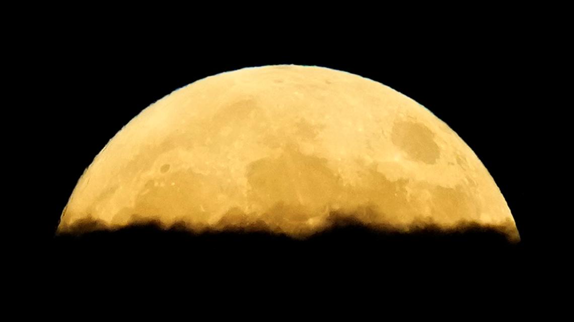 ICE issues detainer for 24-year-old accused of posing as Perrysburg High student | wtol.com