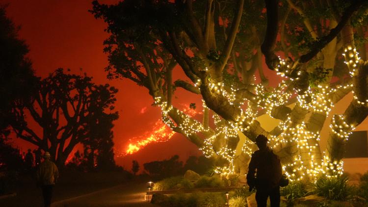 Daniel Bixler gets life for Vera Jo Reigle murder | wtol.com