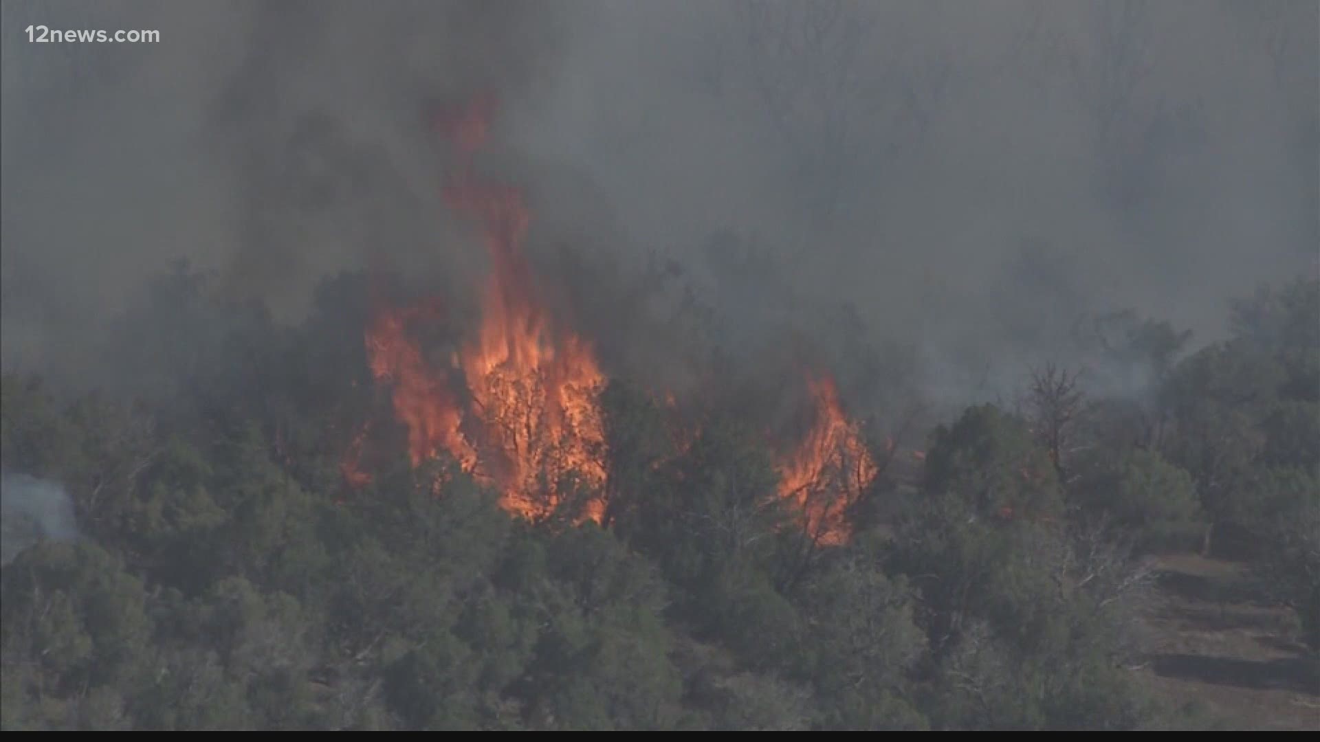 Wildfires in Arizona: June 22 evening update | wtol.com