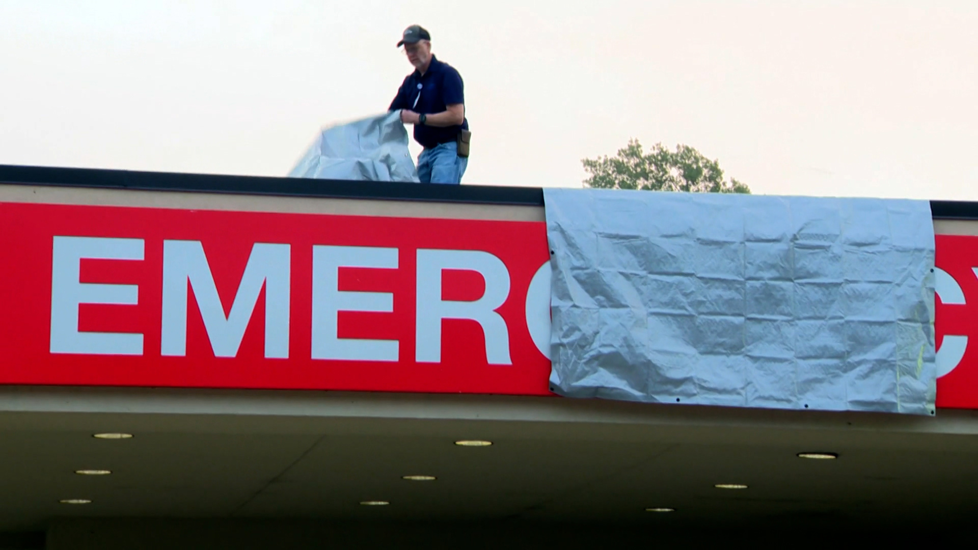 CDC traces human rabies case in UTMC transplant patient to Idaho | wtol.com