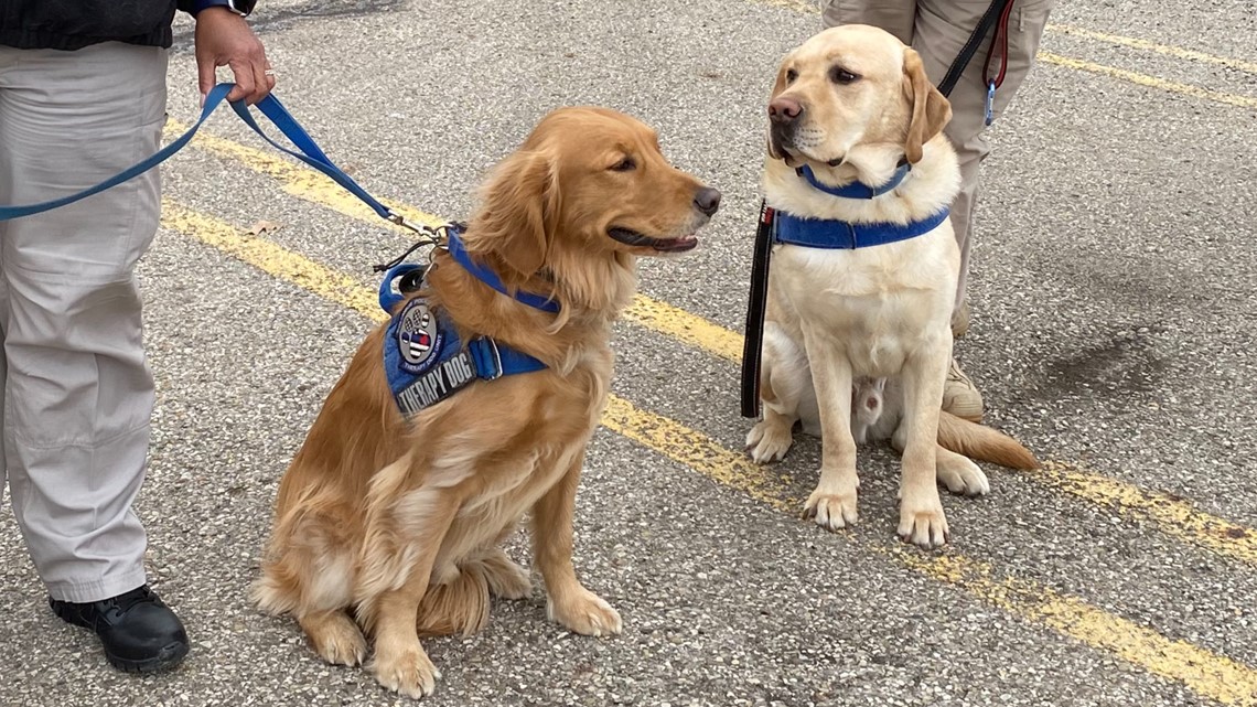Columbus police therapy dogs visit Polaris after shots fired in mall ...
