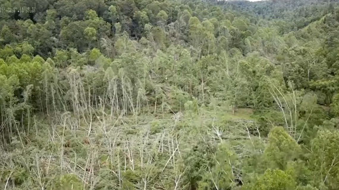 Daniel Bixler found competent to stand trial, charged with murder of ...