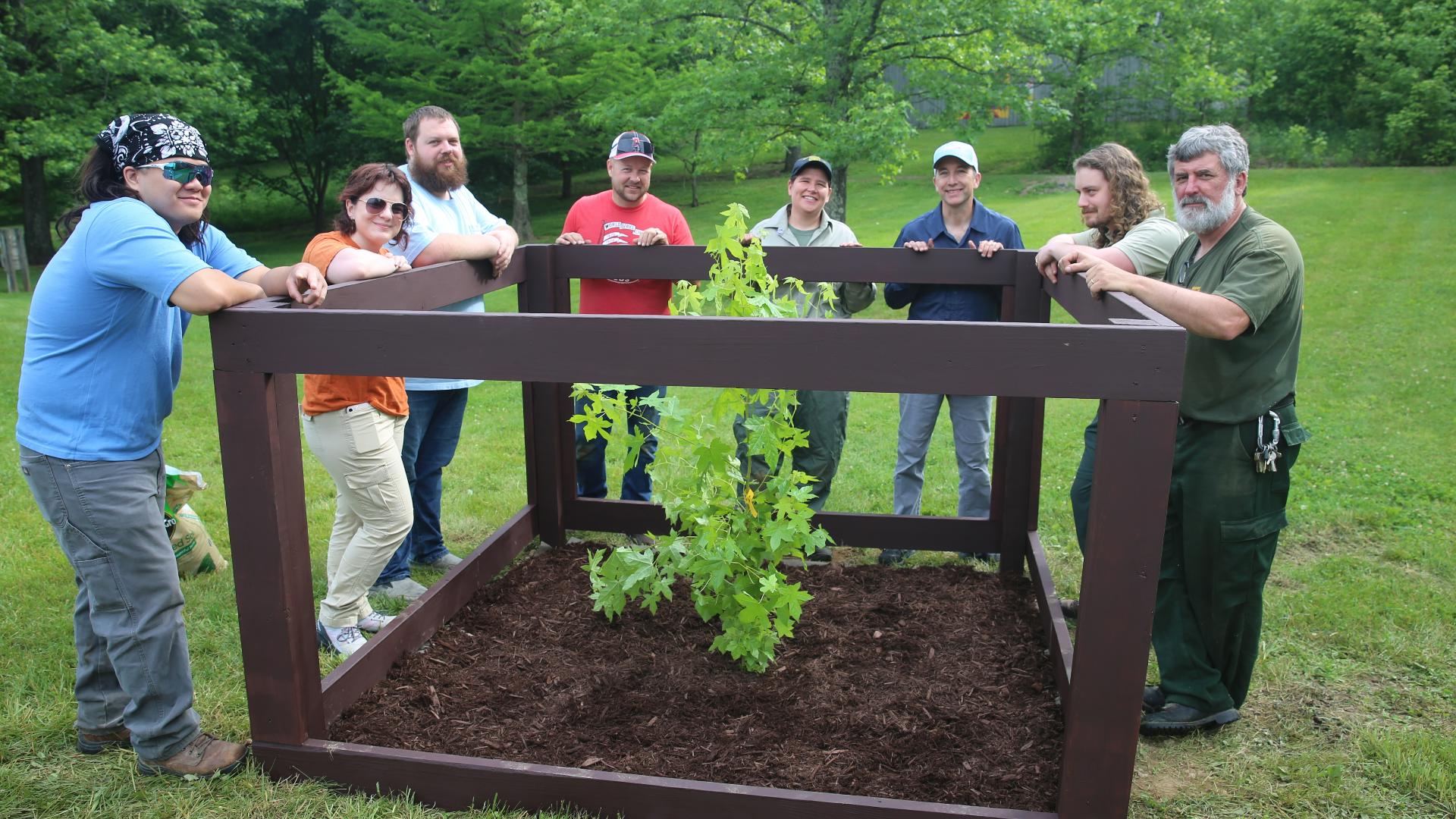 Wayne National Forest plants Moon Tree sapling | wtol.com