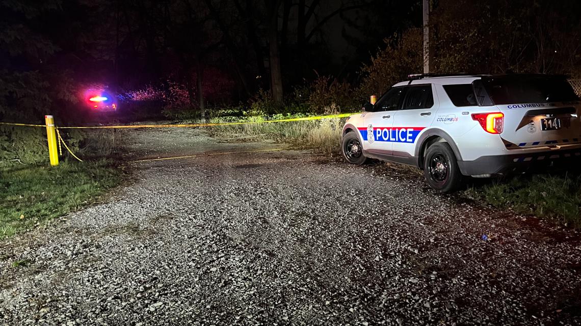 Person found dead hanging from power line in south Columbus | wtol.com
