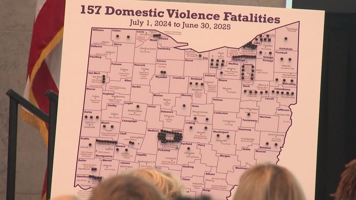 Ohio sees record 157 domestic violence deaths in past year | wtol.com