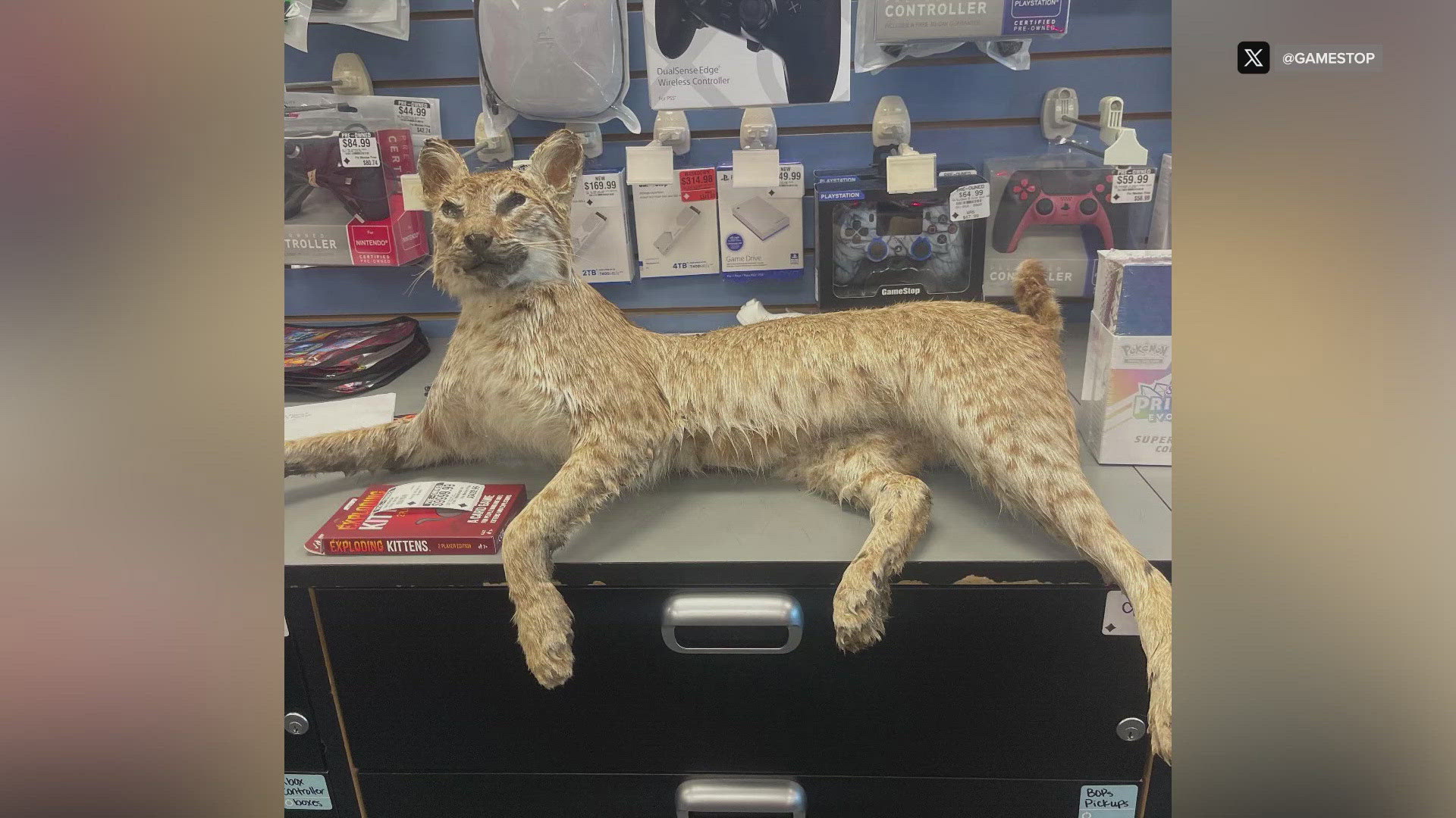 More than 470 GameStop stores closing nationwide, including Toledo ...