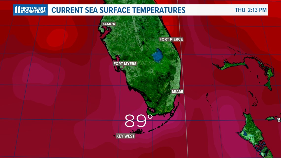 Global sea water surface is warming to all-time high | wtol.com