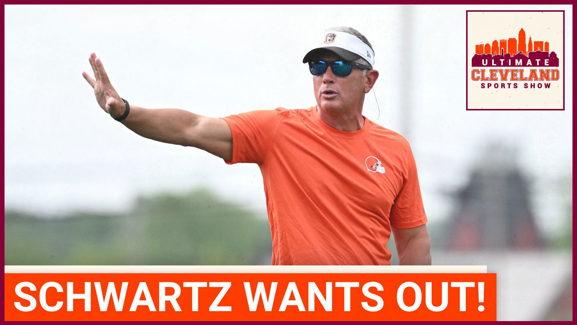 Report: Cleveland Browns defensive coordinator Jim Schwartz tells ...