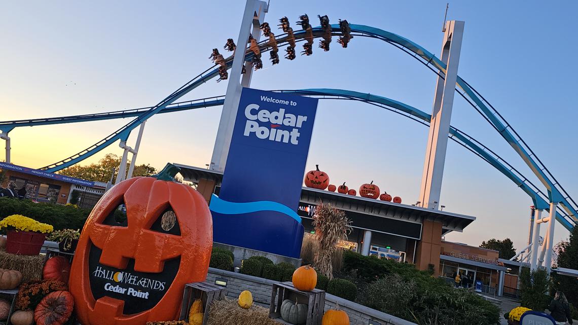 Defiance man found dead under bridge from gunshot wound | wtol.com