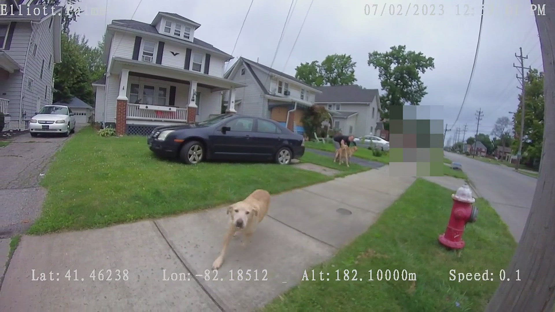 Justice for Dixie rally in Lorain after officer shoots family dog ...