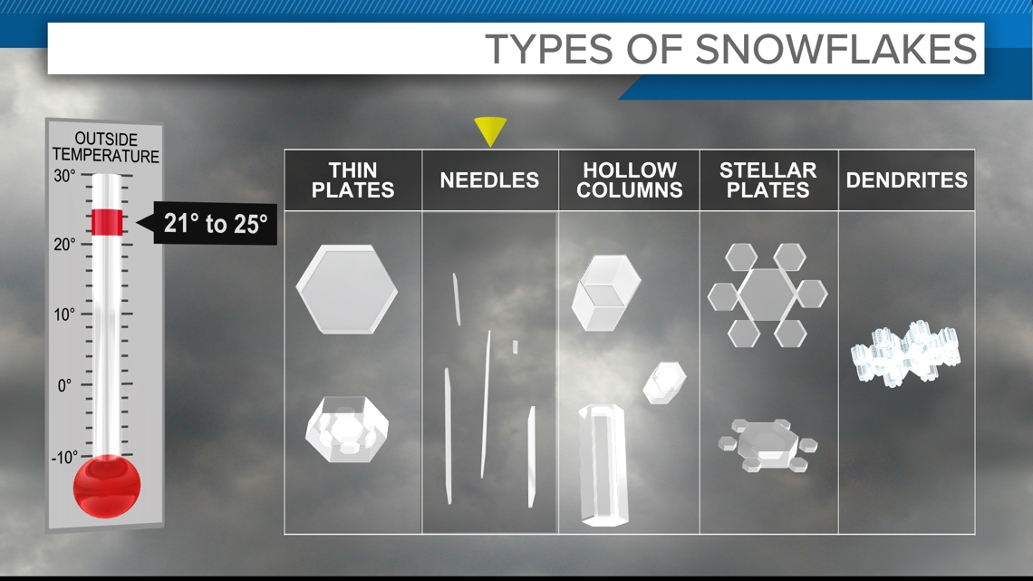 The different types of snowflakes and why they matter | wtol.com