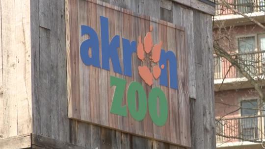 Akron Zoo deemed safe after evacuating due to bomb threat | wtol.com