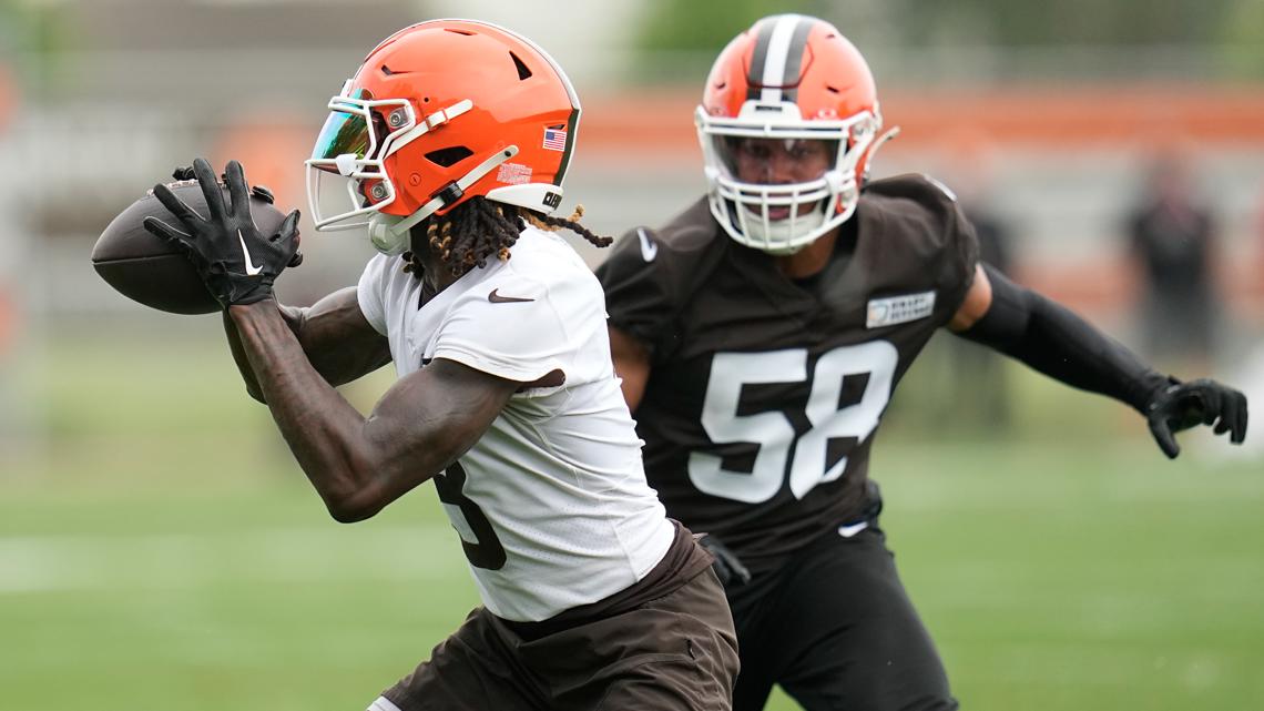 Cleveland Browns LB Jordan Hicks retires after 10 season in NFL | wtol.com