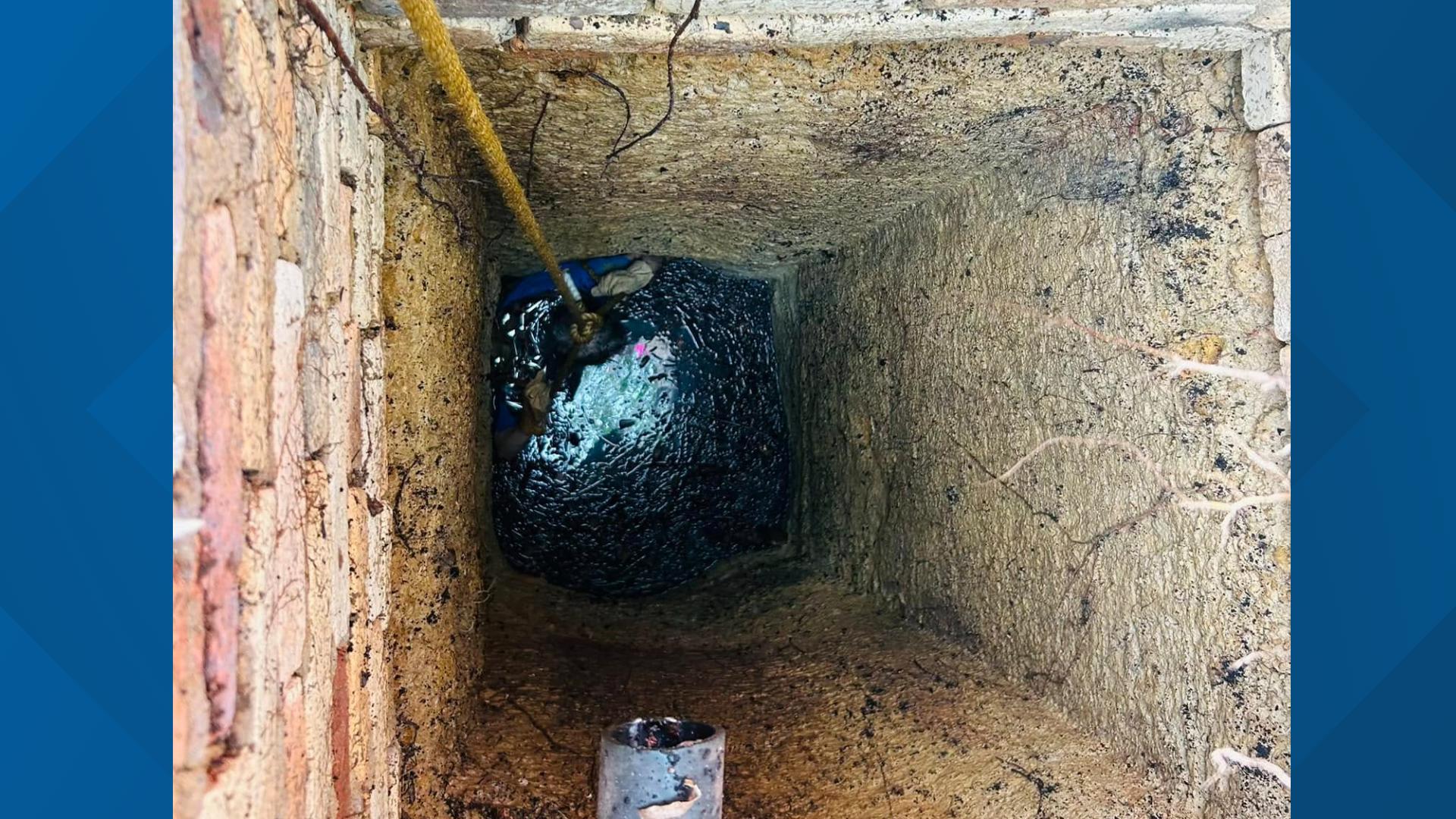 Woman rescued from 16-foot sewage pit in South Carolina despite ...