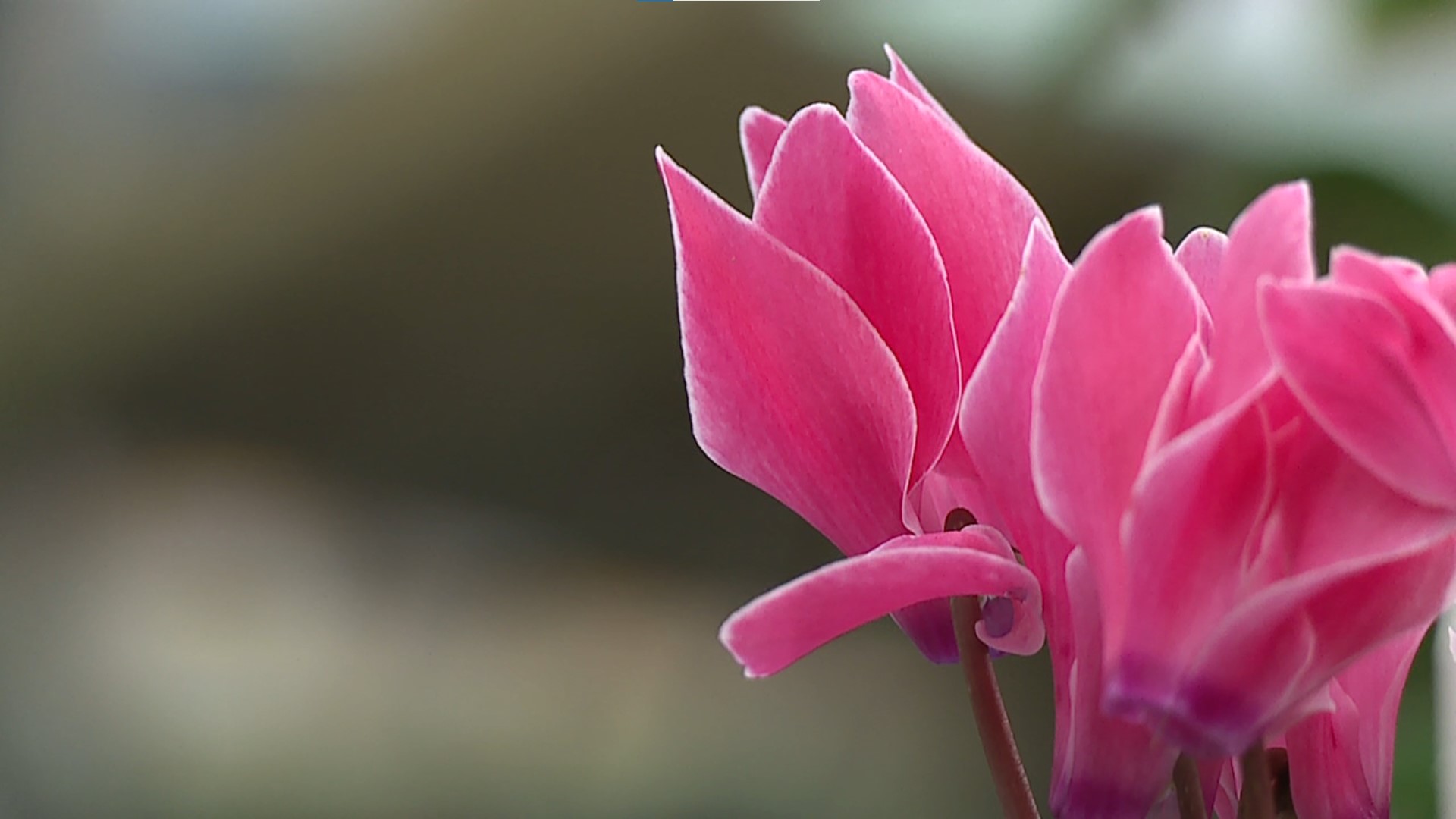 Accused toe-sucker arrested, more victims asked to step forward | wtol.com