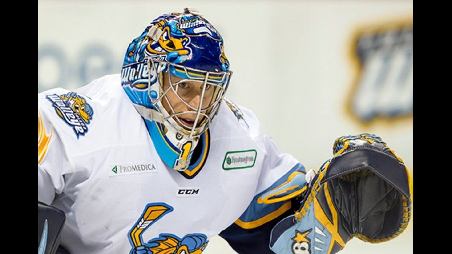 Fan favorite Jeff Lerg returns to Walleye | wtol.com