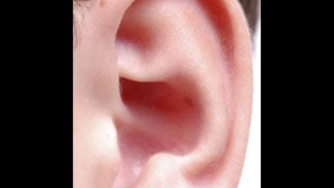 Voice and Ear | wtol.com