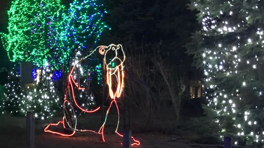 Toledo Zoo Lights Before Christmas | GUIDE | wtol.com