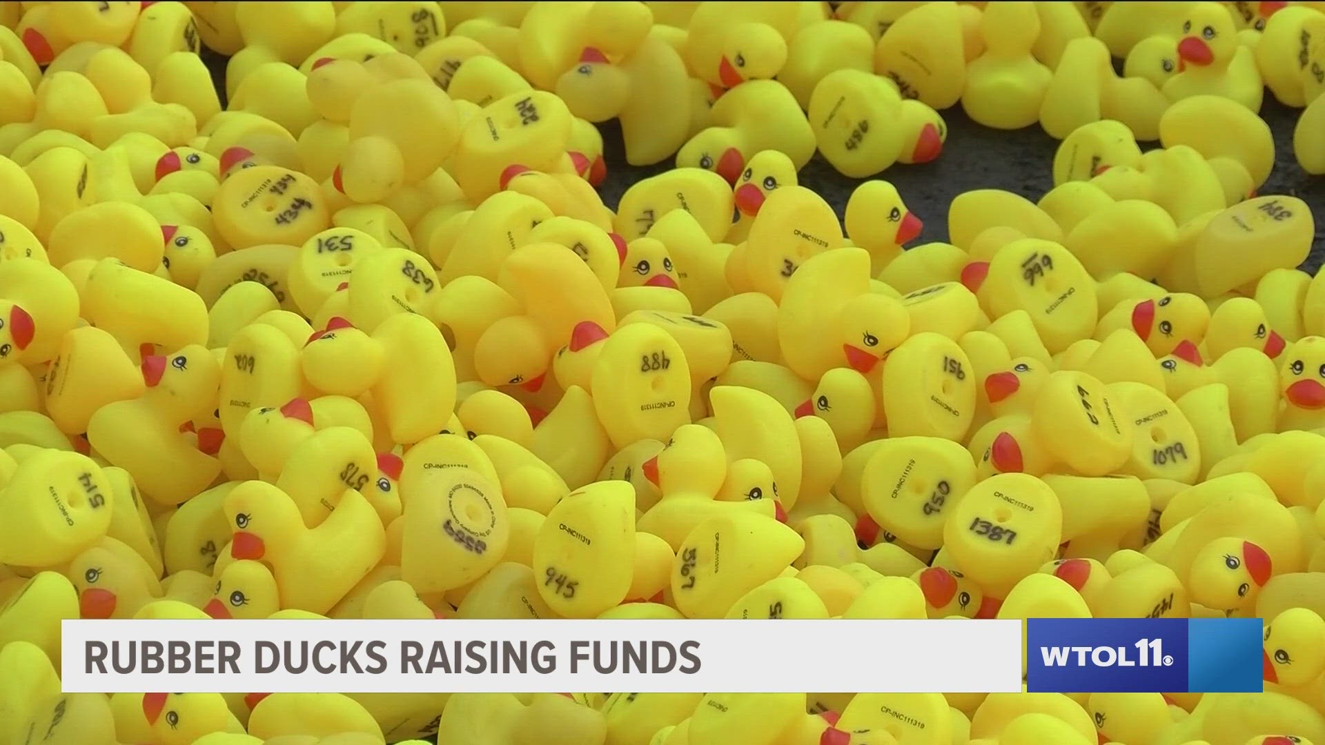 'Hocus Pocus' Remake in the Works at Disney Channel | wtol.com