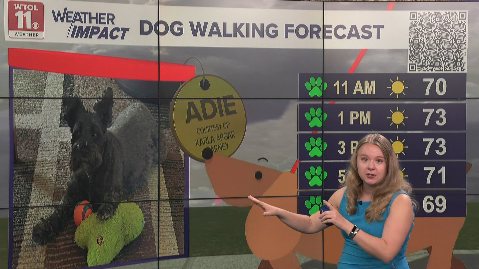 Dog walking forecast: Green paw weather continues for happy pups | Good ...