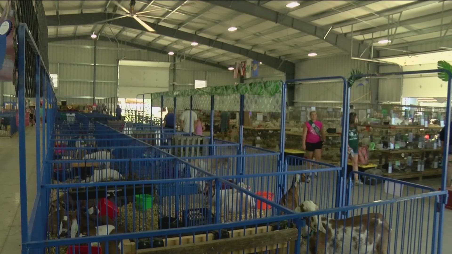 Seneca County Fair staff, animals, attendees managing summer heat ...