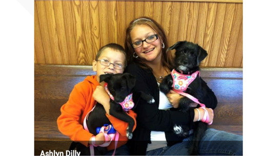Harley Dilly, 14, found dead inside chimney in Port Clinton house ...