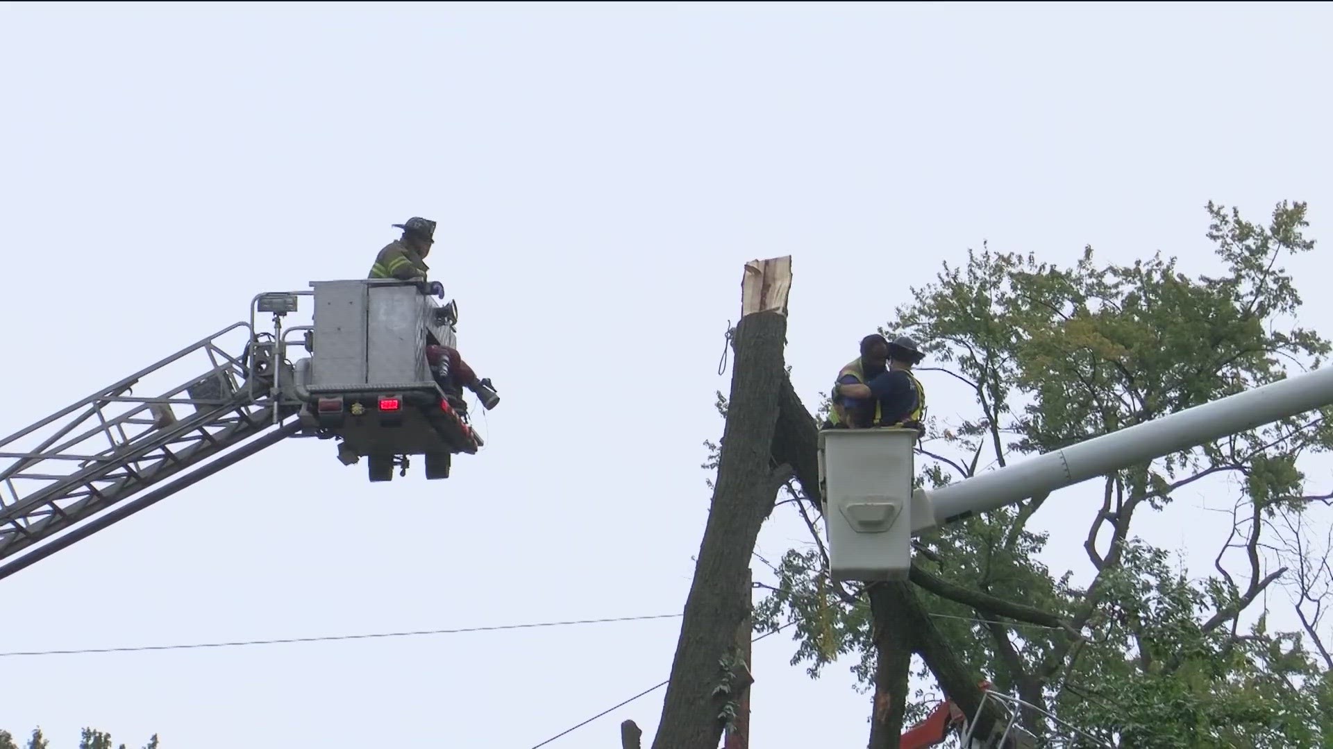 Tree trimming worker rescued, taken to hospital in Toledo | wtol.com