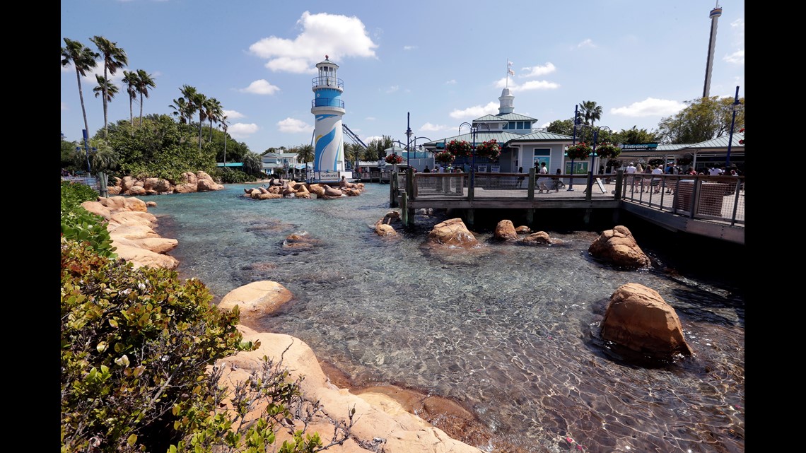 Whale rescued from stranding 8 years ago dies at SeaWorld | wtol.com