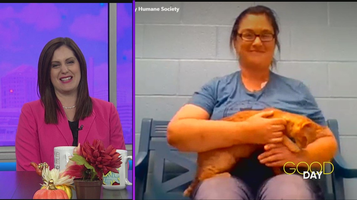 Furry Friday | Bezos the cat and others available at Wood County Humane ...