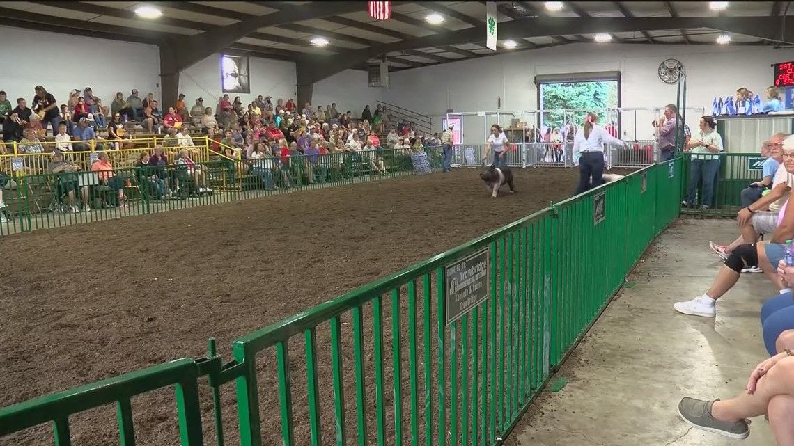 Ohio 2025 county fairs schedule: See the list for when yours is | wtol.com