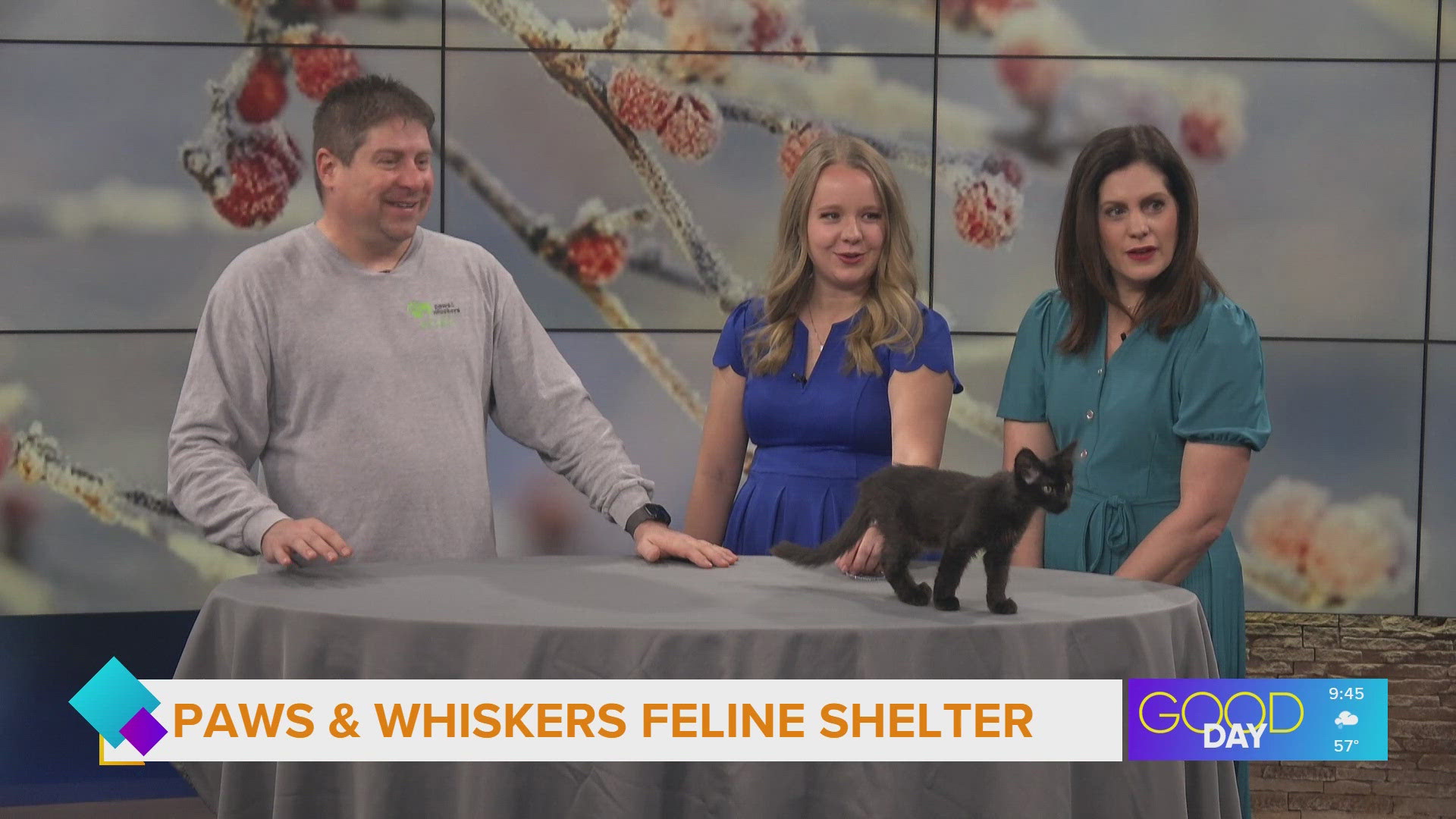 Asian shares rise and US futures are flat after modest Wall Street ...