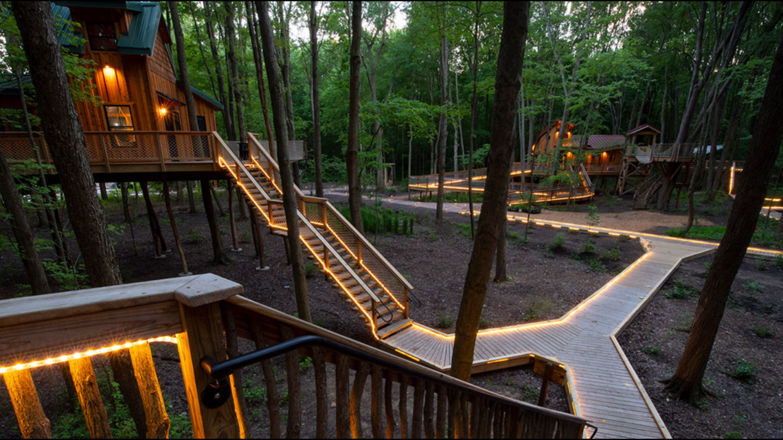 Oak Openings Treehouse Raffle | wtol.com
