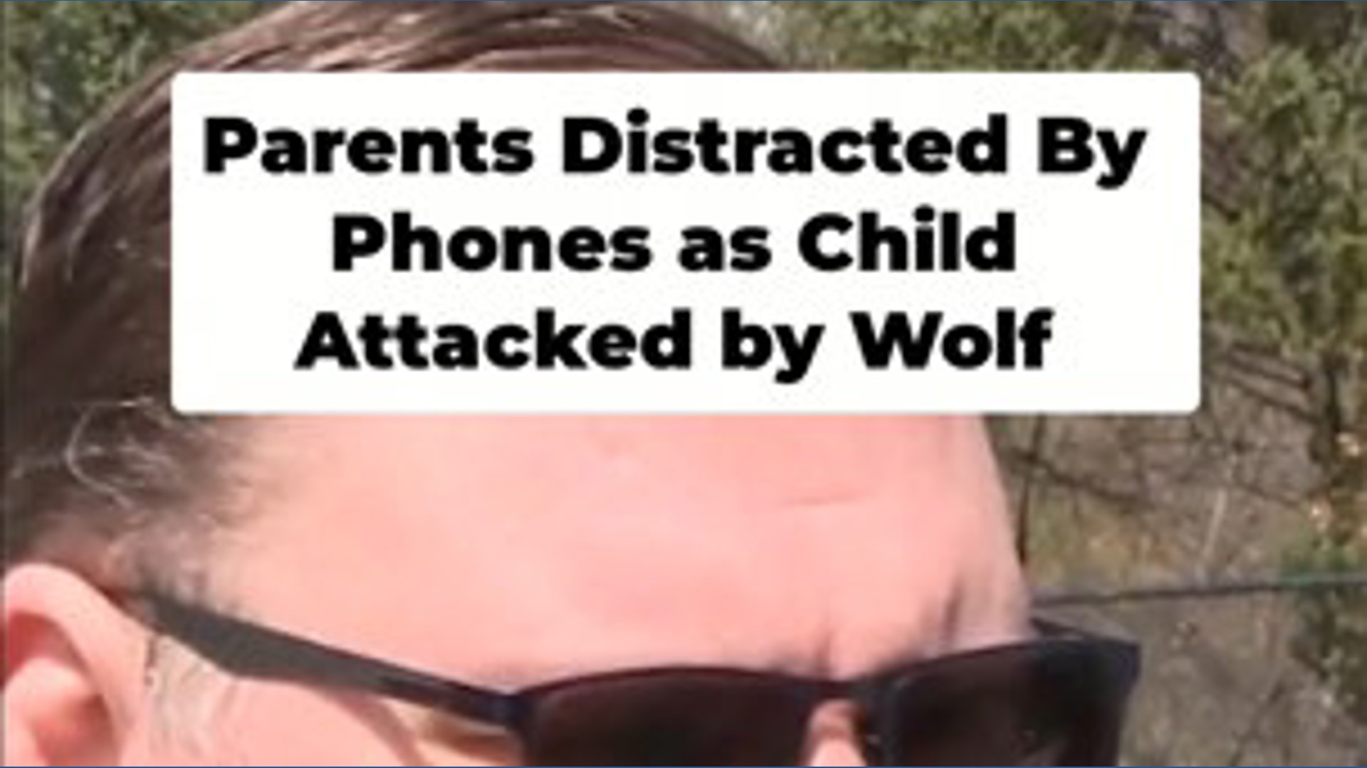 Parents charged after toddler bitten by wolf at Pennsylvania zoo | wtol.com