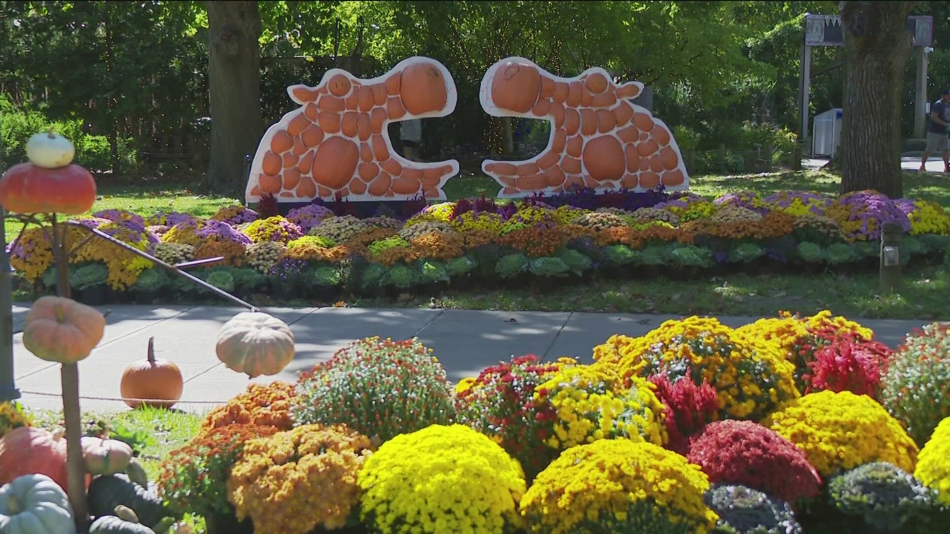 Toledo Zoo to hold 3-day conservation symposium for 125th anniversary ...