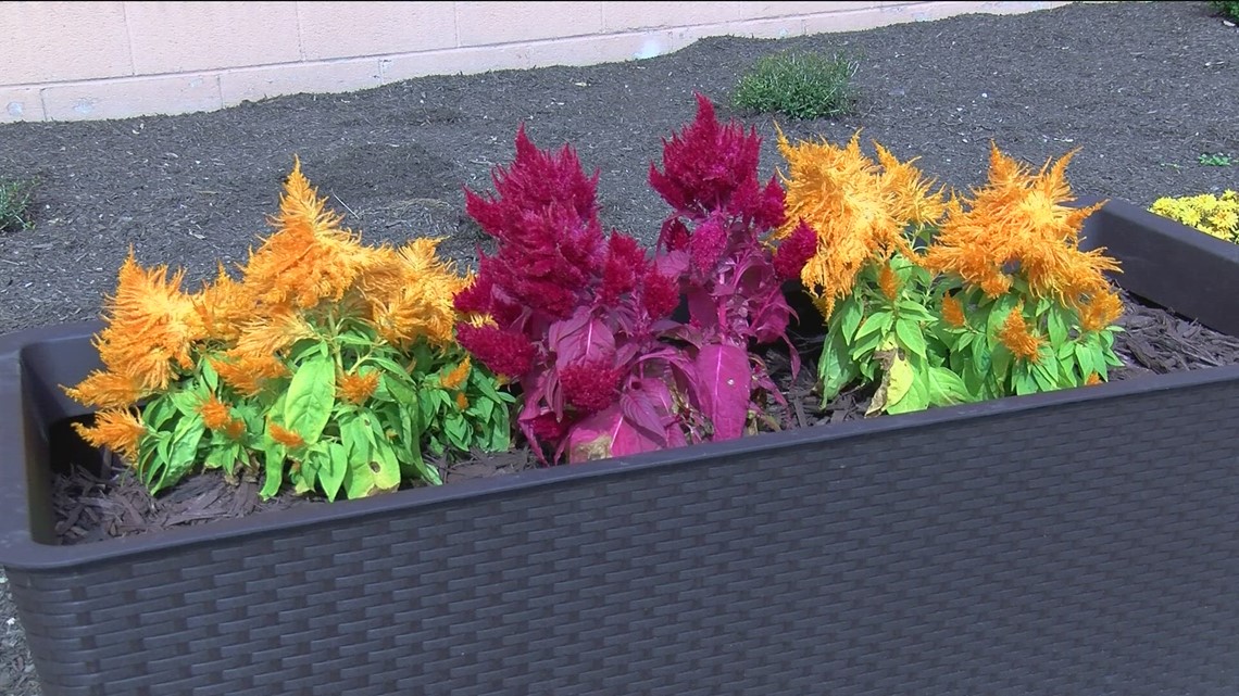 The Believe Center unveils landscaping upgrades, welcoming area for ...