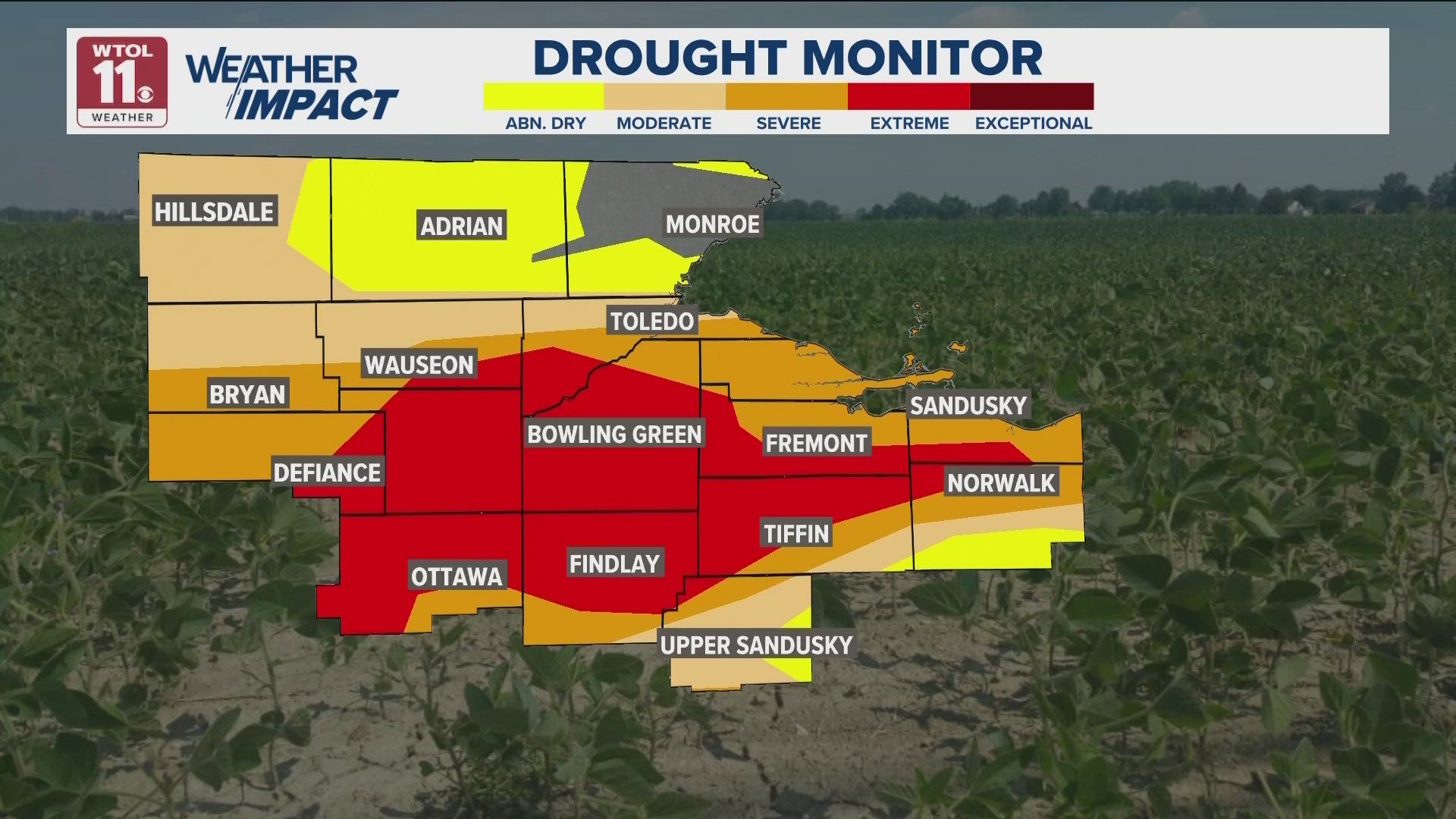 Northwest Ohio faces worst drought in over a decade | wtol.com