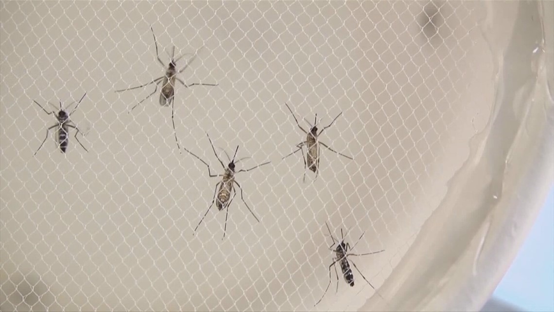 Mosquito pool tests positive for West Nile virus in Seneca County ...