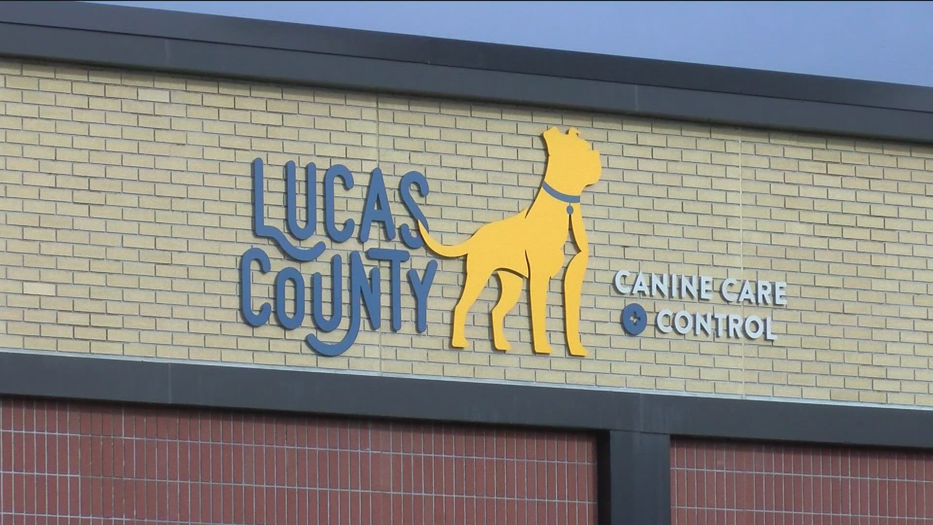 Lucas County Canine Care & Control seeks dog food donations to reopen ...