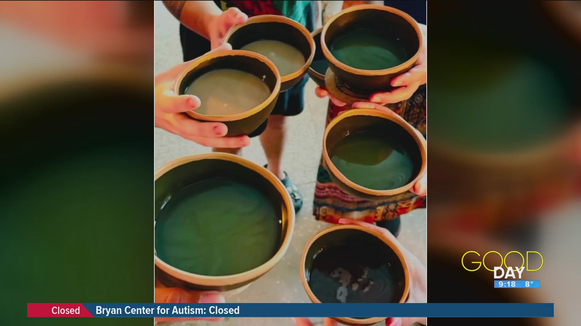 Kava Culture: New west Toledo bar serves up unique brew | wtol.com