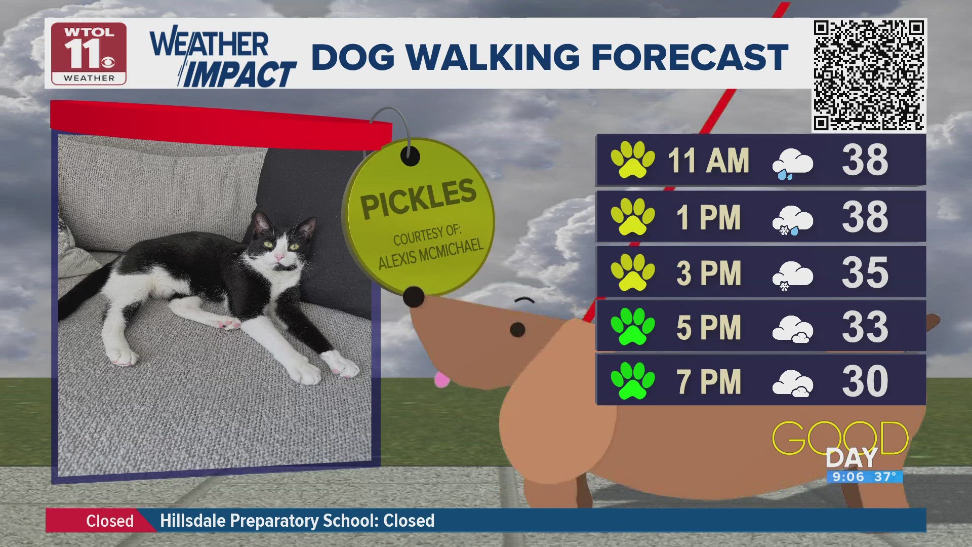 Dog walking weather: Scattered rain/snow mix makes for a green/yellow ...