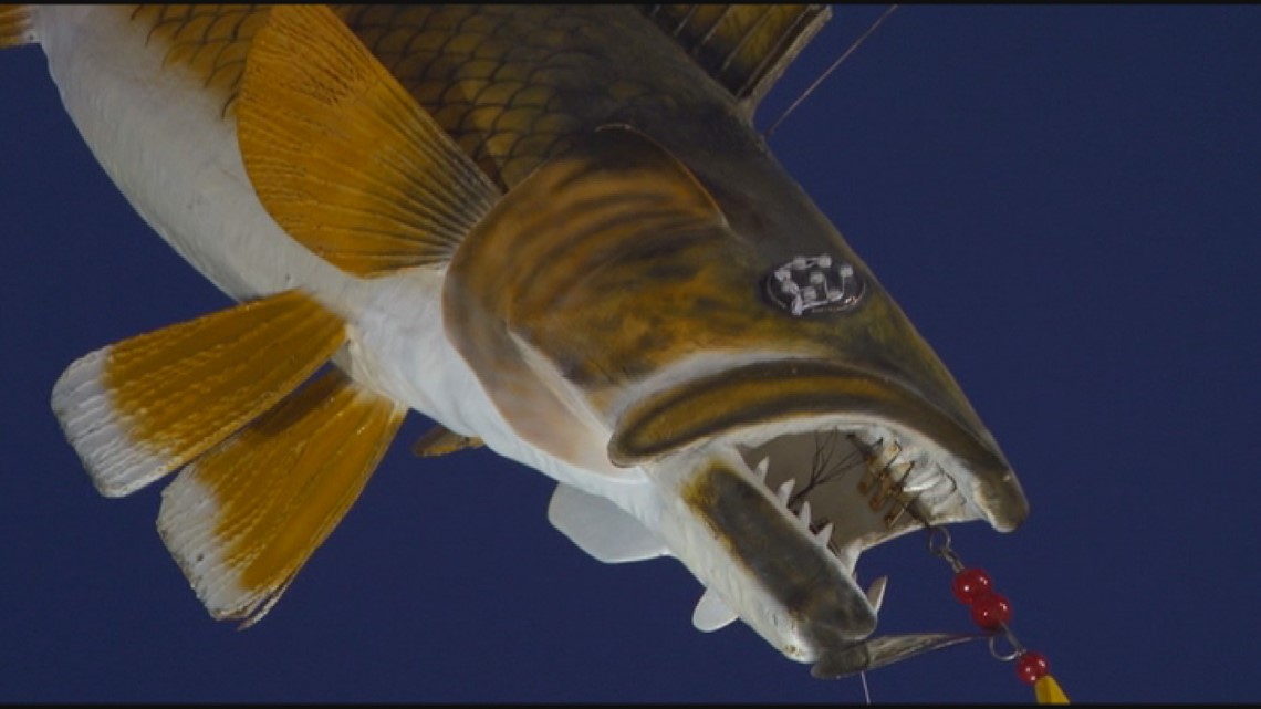 2021 Walleye Drop in Port Clinton | wtol.com