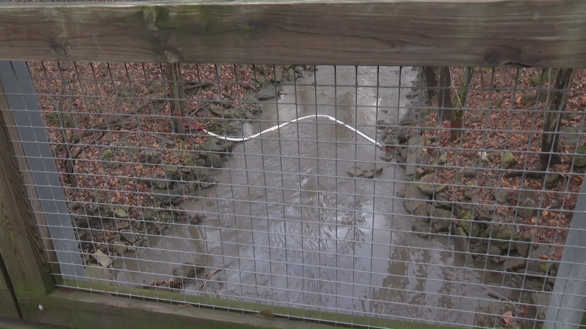 Details of Tyler Wells' $2,455,000, 1-year contract with the Baltimore ...