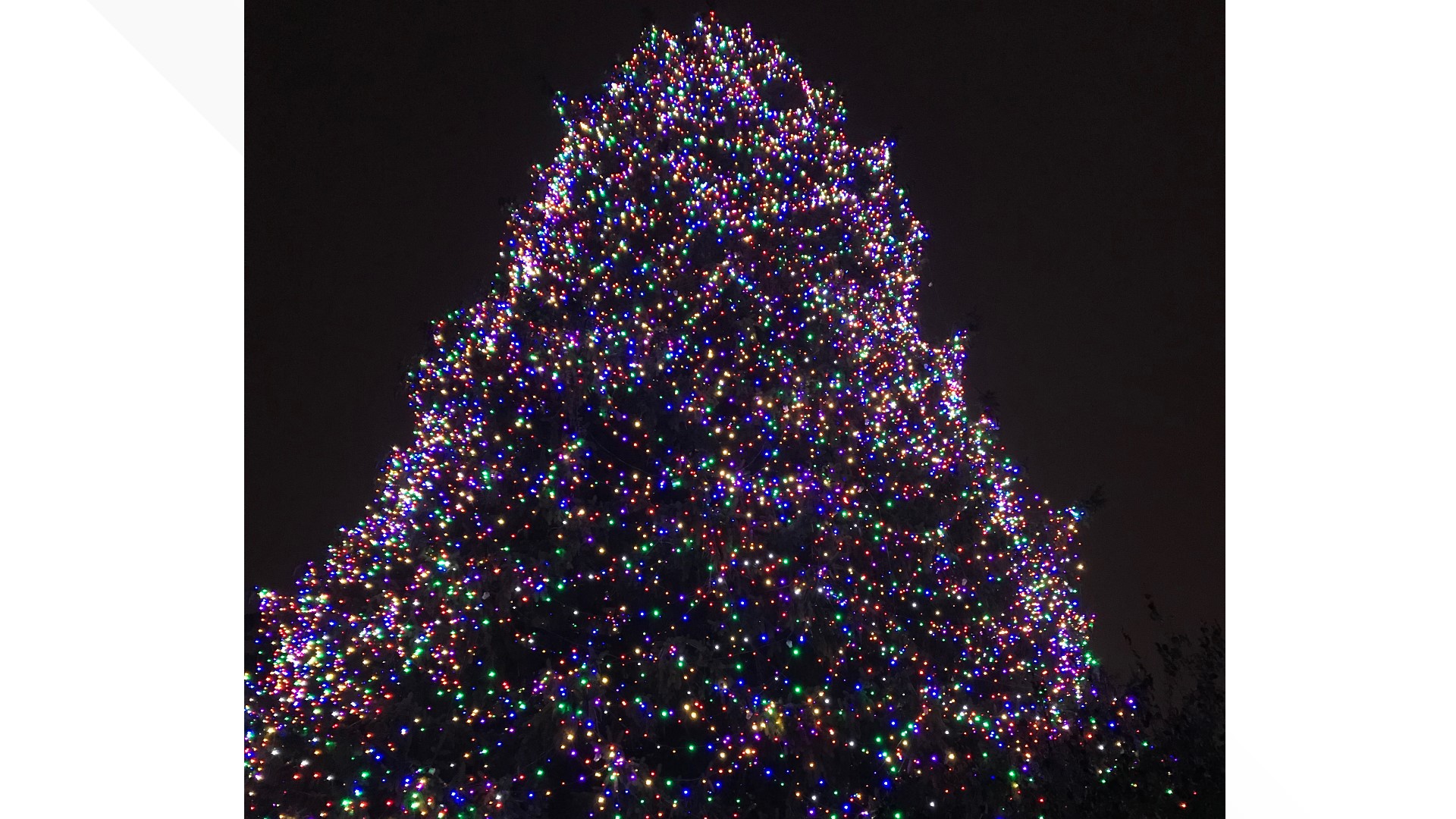 Toledo Zoo Lights Before Christmas | GUIDE | wtol.com