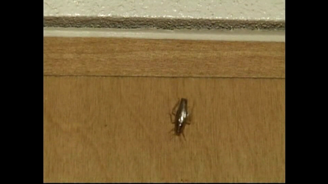 Call For Action UPDATE: Hospitality company responds to woman who left ...