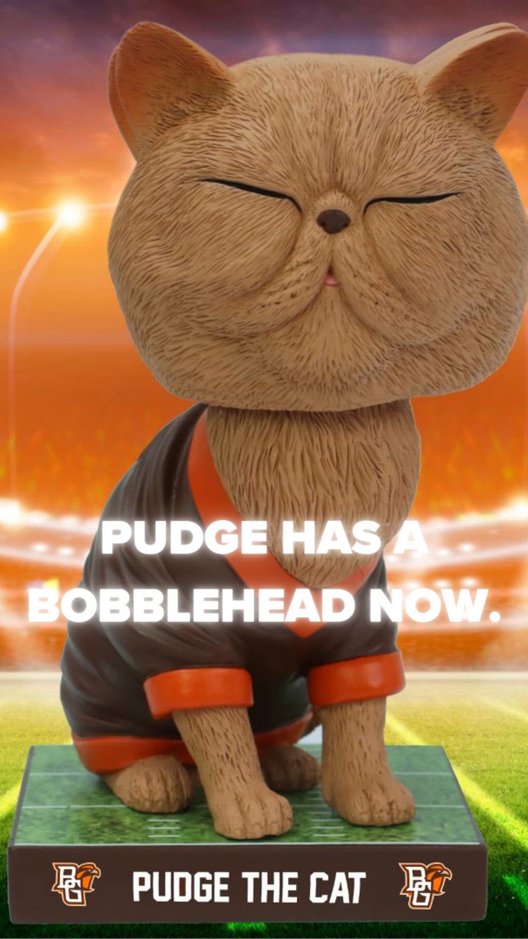 First-ever Pudge the Cat bobblehead unveiled as viral BGSU mascot gets ...